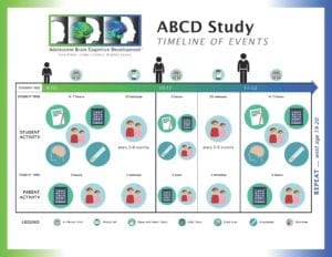 Scientists - ABCD Study